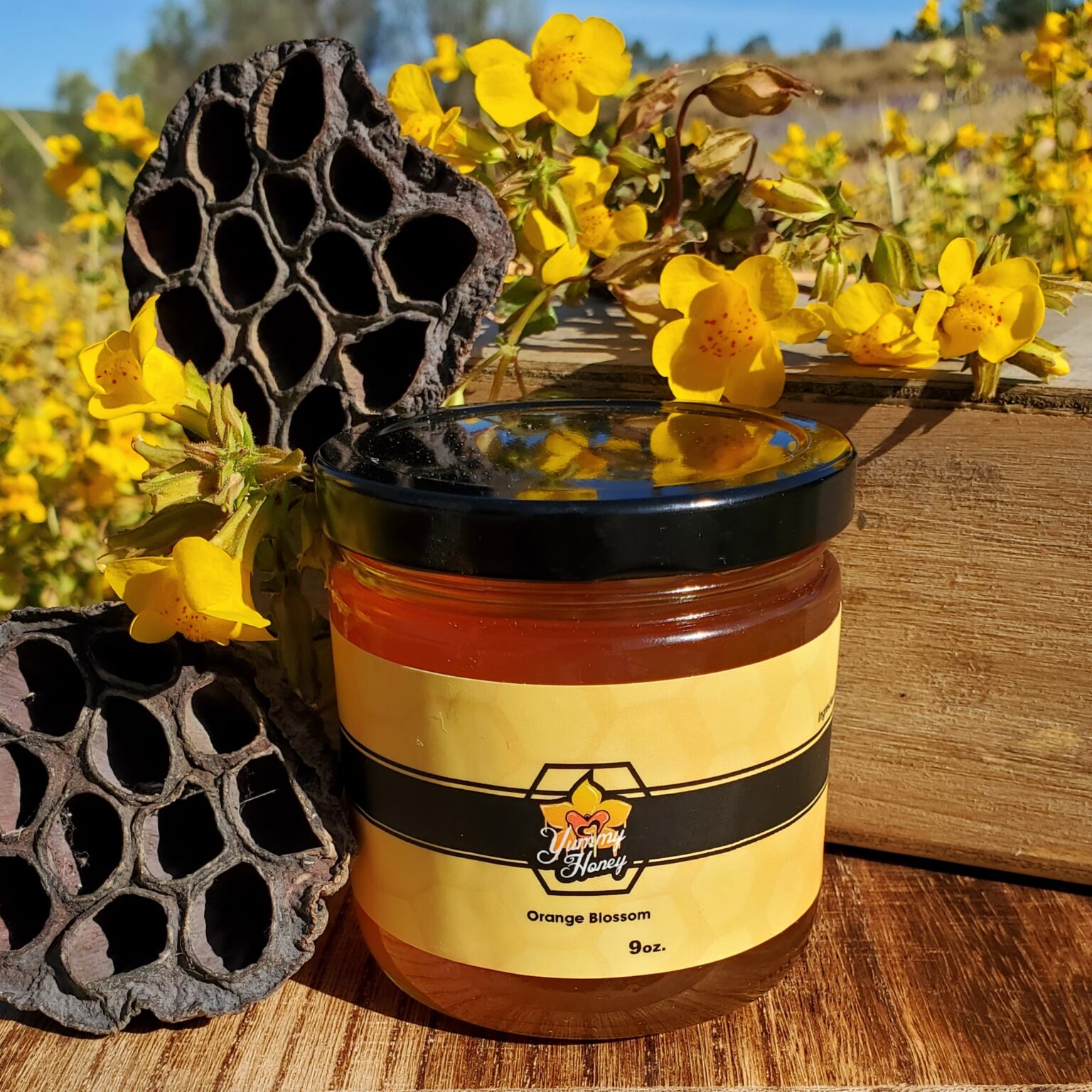 Yummy Honey Co. – Yummy Co.