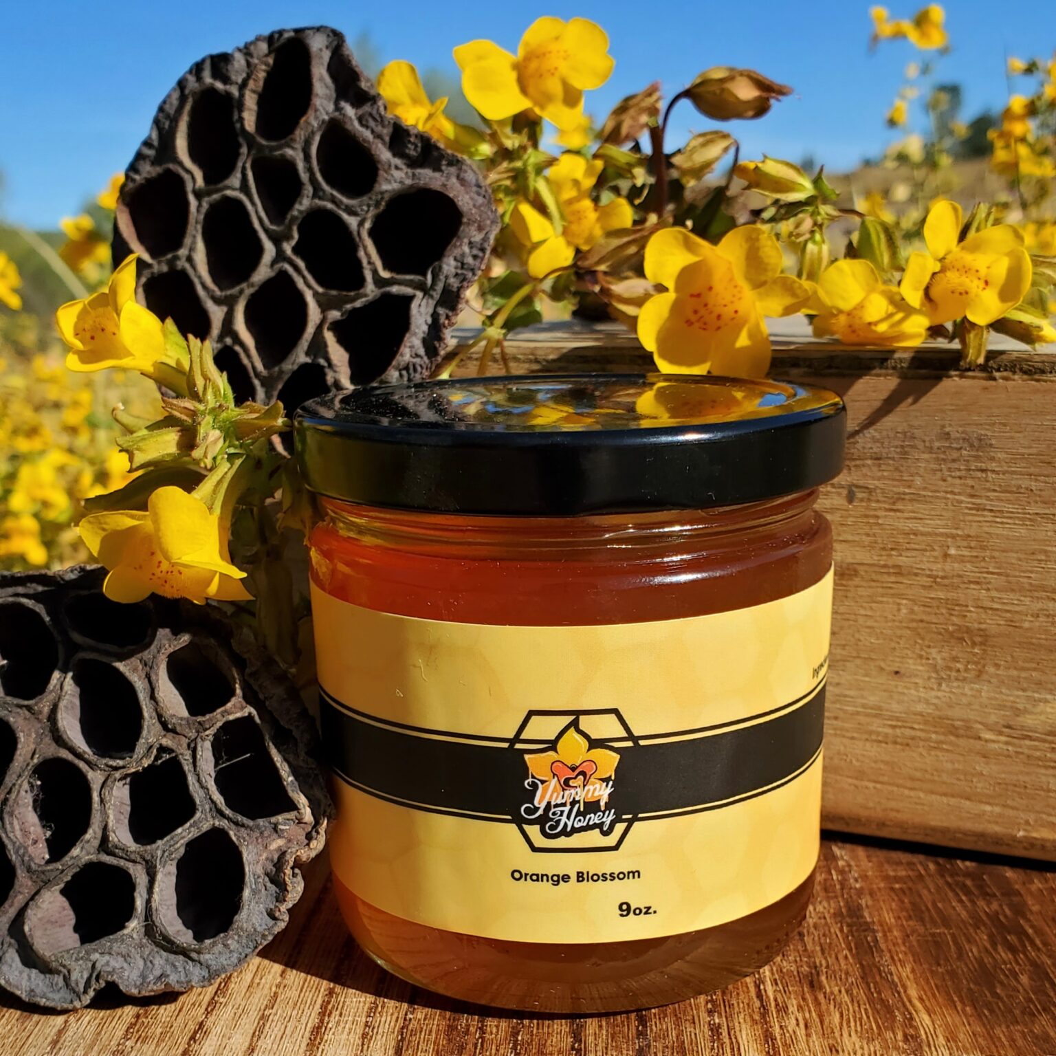 Yummy Honey Co. – Yummy Co.